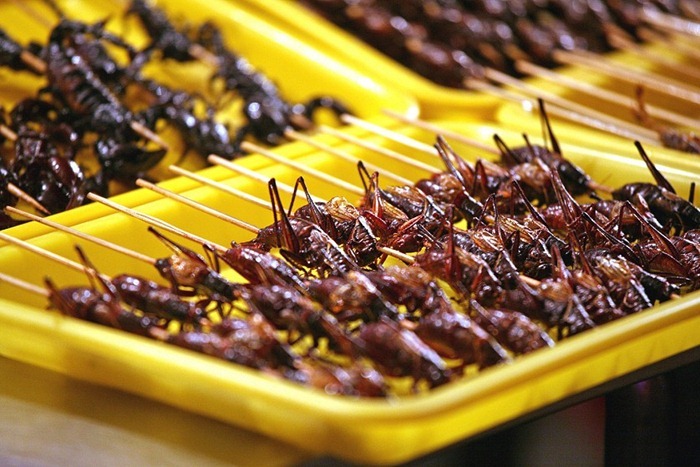 Insects as Food | Amusing Planet